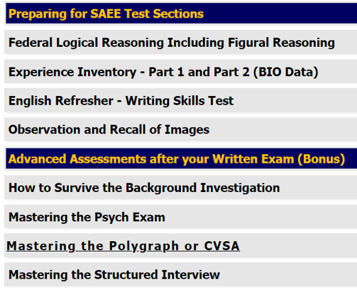 intro-saee