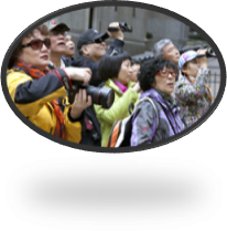 lecture-obs-recall-visual